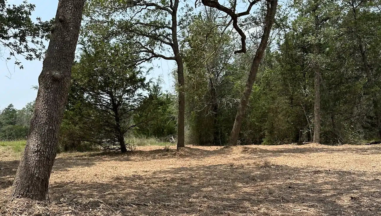 Central Texas Habitat Restoration | CenTex Woodland Co.
